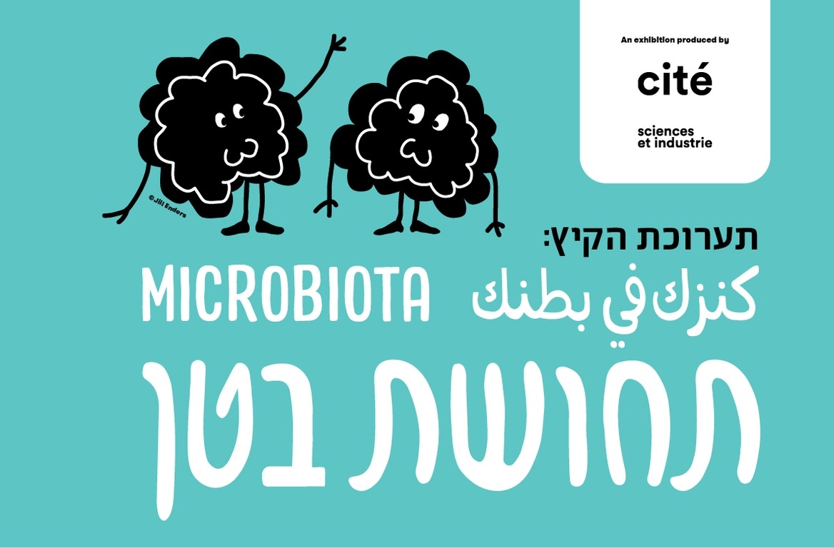 Summer at Bloomfield Science Museum - Fun In Jerusalem