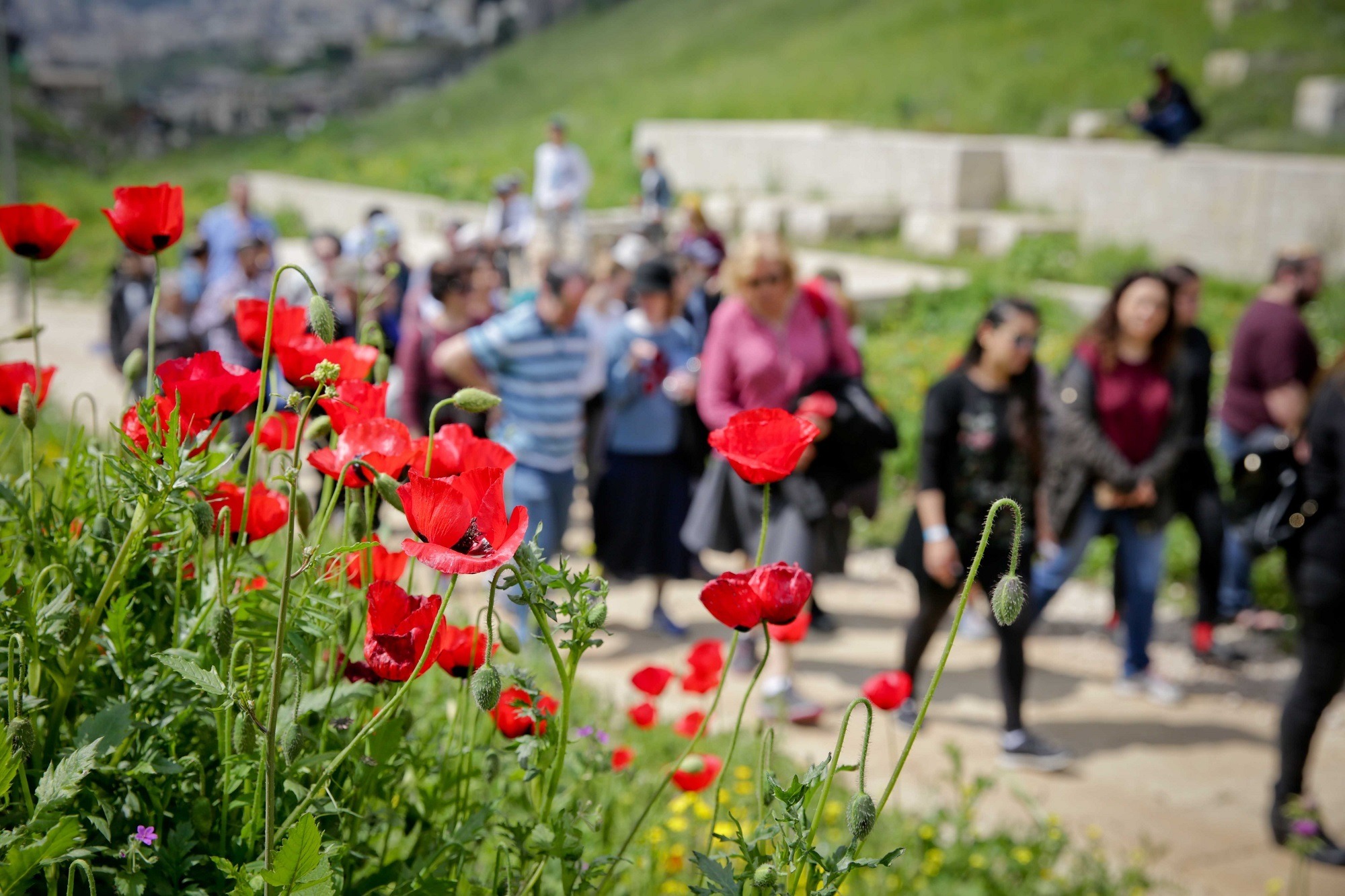 Kidron Adom at the City of David - Fun In Jerusalem