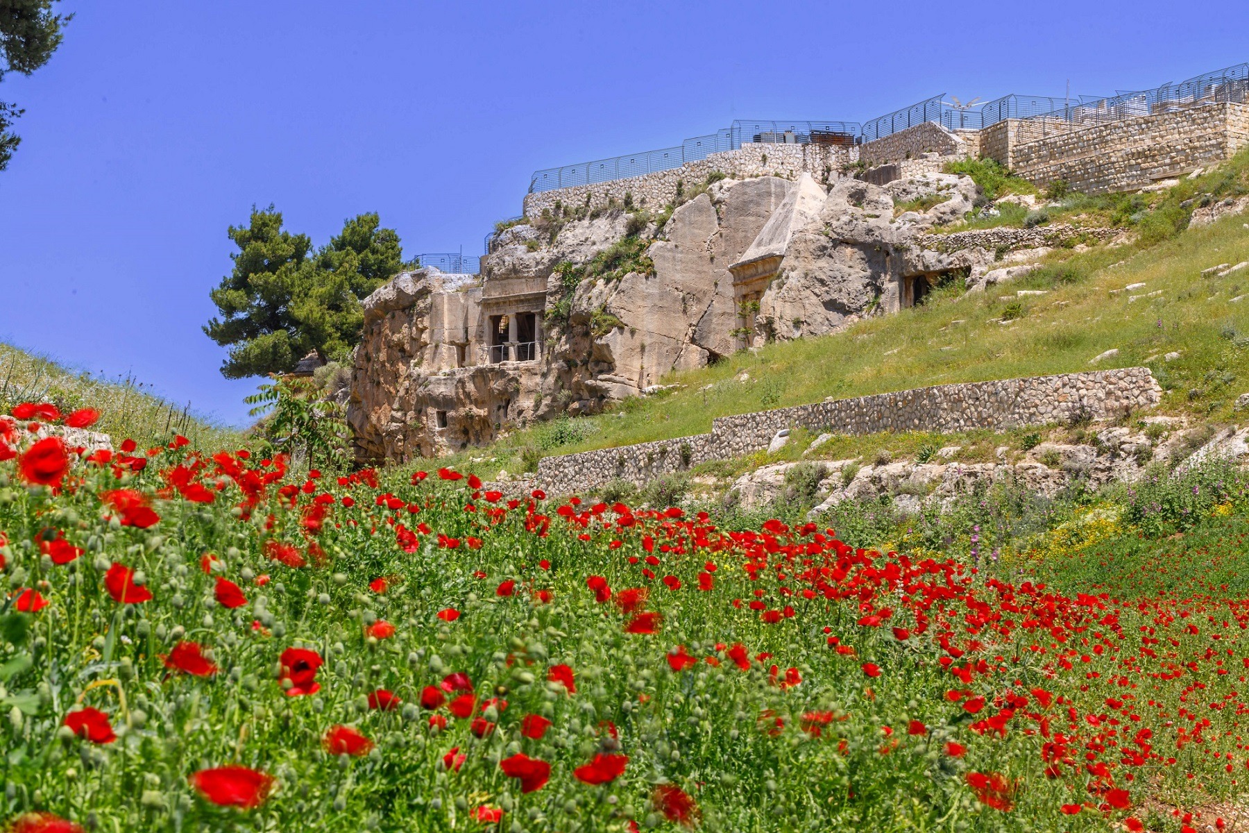 Kidron Adom at the City of David - Fun In Jerusalem